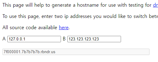 SSRF bypass using DNS Rebinding