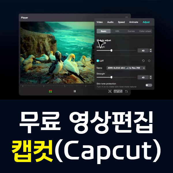 무료 동영상 편집 프로그램 캡컷 Pc 다운로드 워터마크 없이 사용 후기