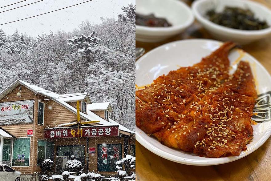 겨울 국내 여행 추천 연차 쓰고 떠나는 연말 인제 여행 코스 And 맛집 추천 원대리 속삭이는 자작나무 숲 방태산 박인환