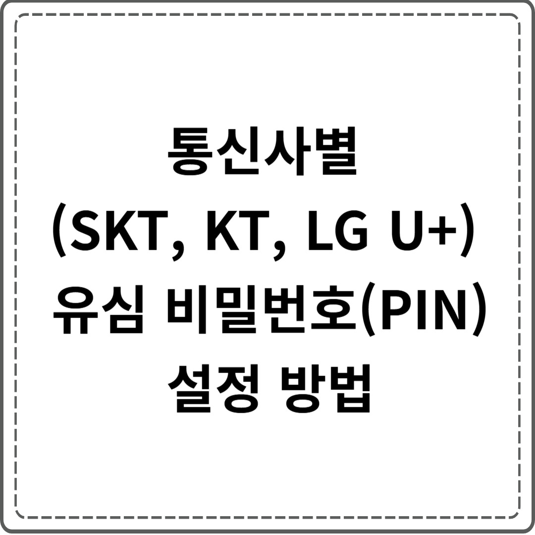 통신사별 (SKT, KT, LG U+) 유심 비밀번호(PIN) 설정 방법