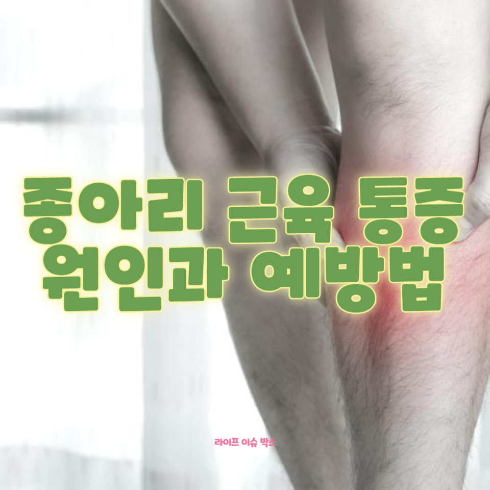 종아리를 주무르면 아픈 이유를 알아보고 그 원인과 해결 방법을 제공합니다 종아리 통증의 주요 요인과 효과적인 마사지 및