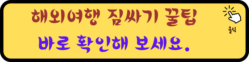 아이슬란드 레이캬비크 여행 가이드 추천 관광 명소 음식 쇼핑 액티비티