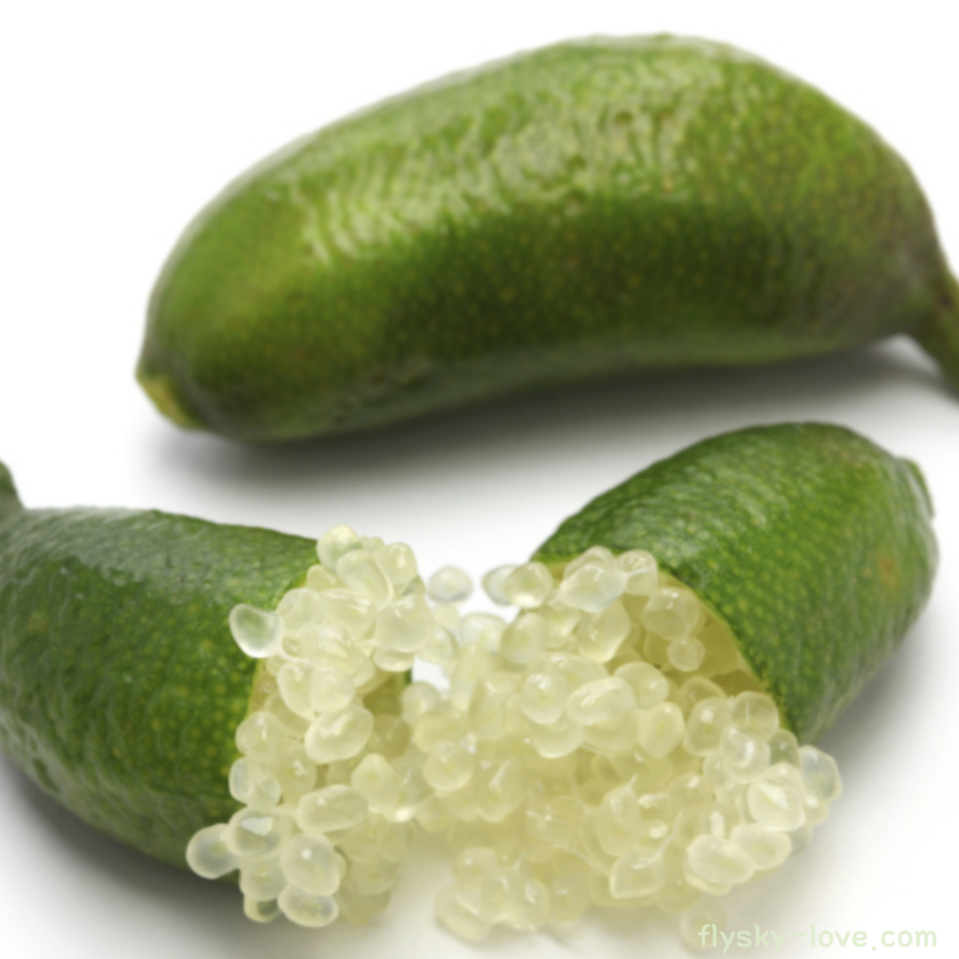 핑거라임 Finger Lime 특징 영양성분 효능 부작용