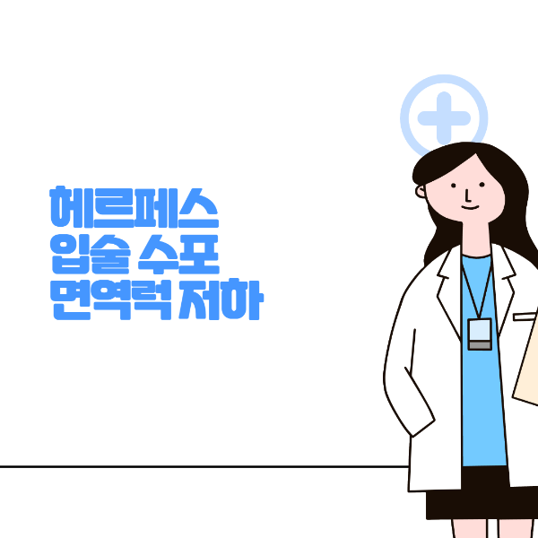 헤르페스 입술 수포 면역럭 저하
