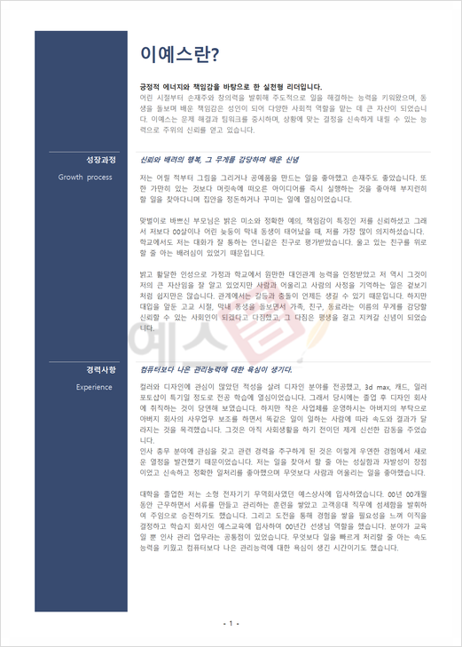 합격을 위한 자기소개서 양식 예시 샘플 자소서 성장 과정 지원 동기 경험 작성법