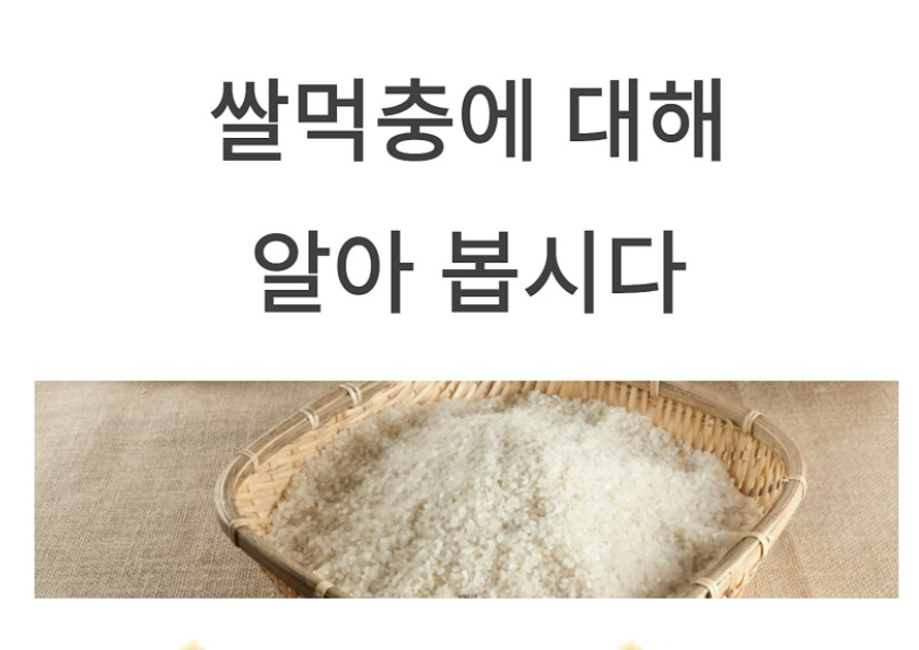 쌀먹 뜻 유래는 로아리니지w오딘 게임 쌀먹충