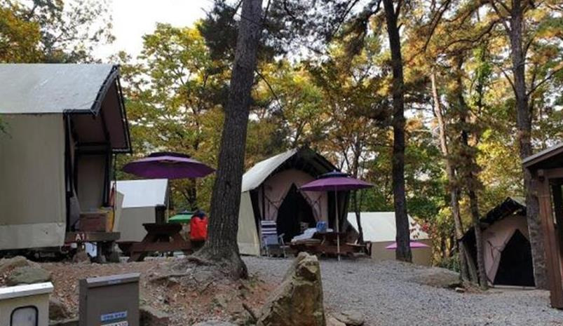 서울 근교 글램핑장 공공시설 5곳 추천 해피크린