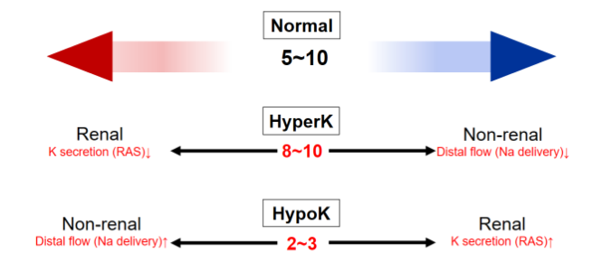 칼륨 계산기 (TTKG, Urine K-to-Cr ratio ; 하루 소변 K 배출량 추정)