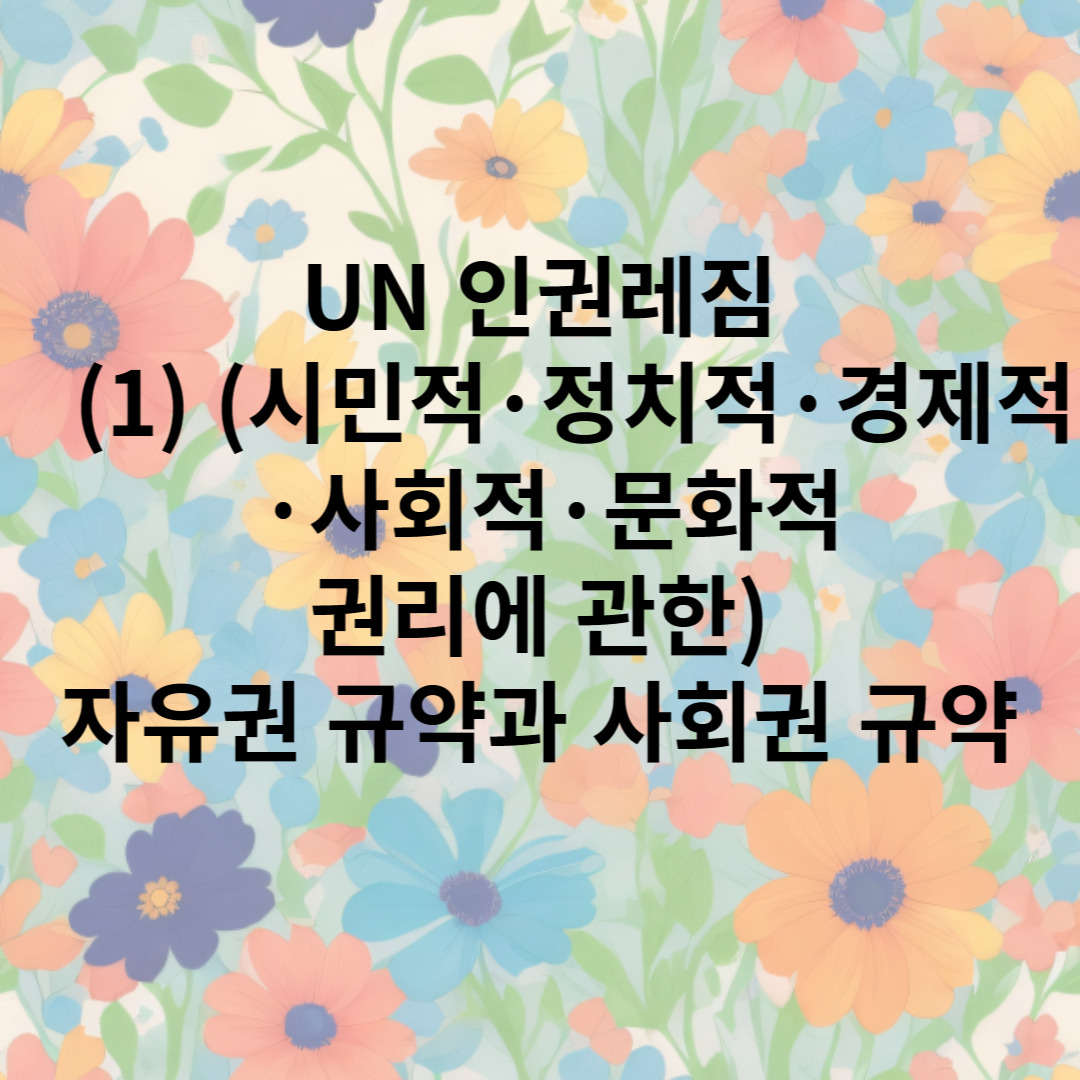 Un 인권레짐 1 시민적·정치적·경제적·사회적·문화적 권리에 관한자유권 규약과 사회권 규약