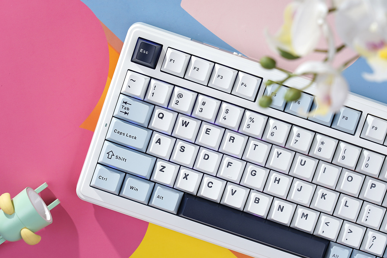 독거미 AULA F99 키보드 리뷰! 소프트웨어 사용법, 경해축 타건음!