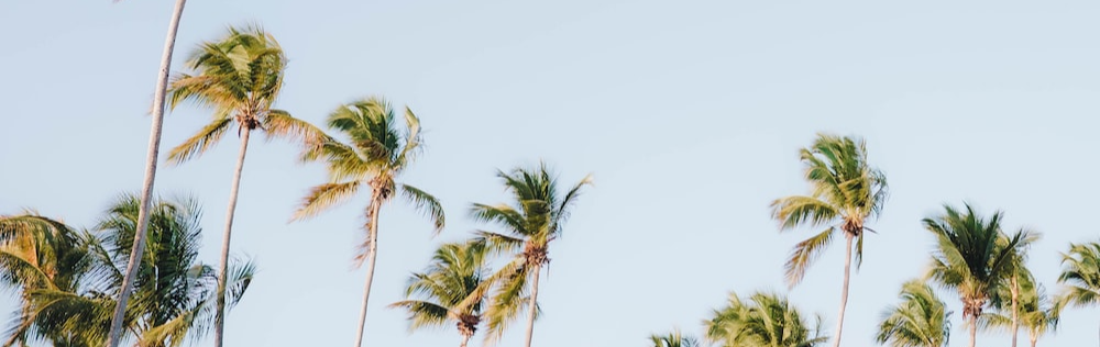 Section1 Unit9 JavaScript 핵심 개념과 주요 문법 - ES6 신규 문법