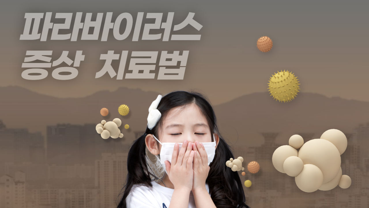 성인 유아 파라 바이러스 증상 전염 열 입원 기침 검사 방법 푸우의 꿀팁저장소
