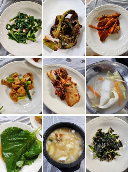 여수 맛집 백금식당 풍자 또간집 후기
