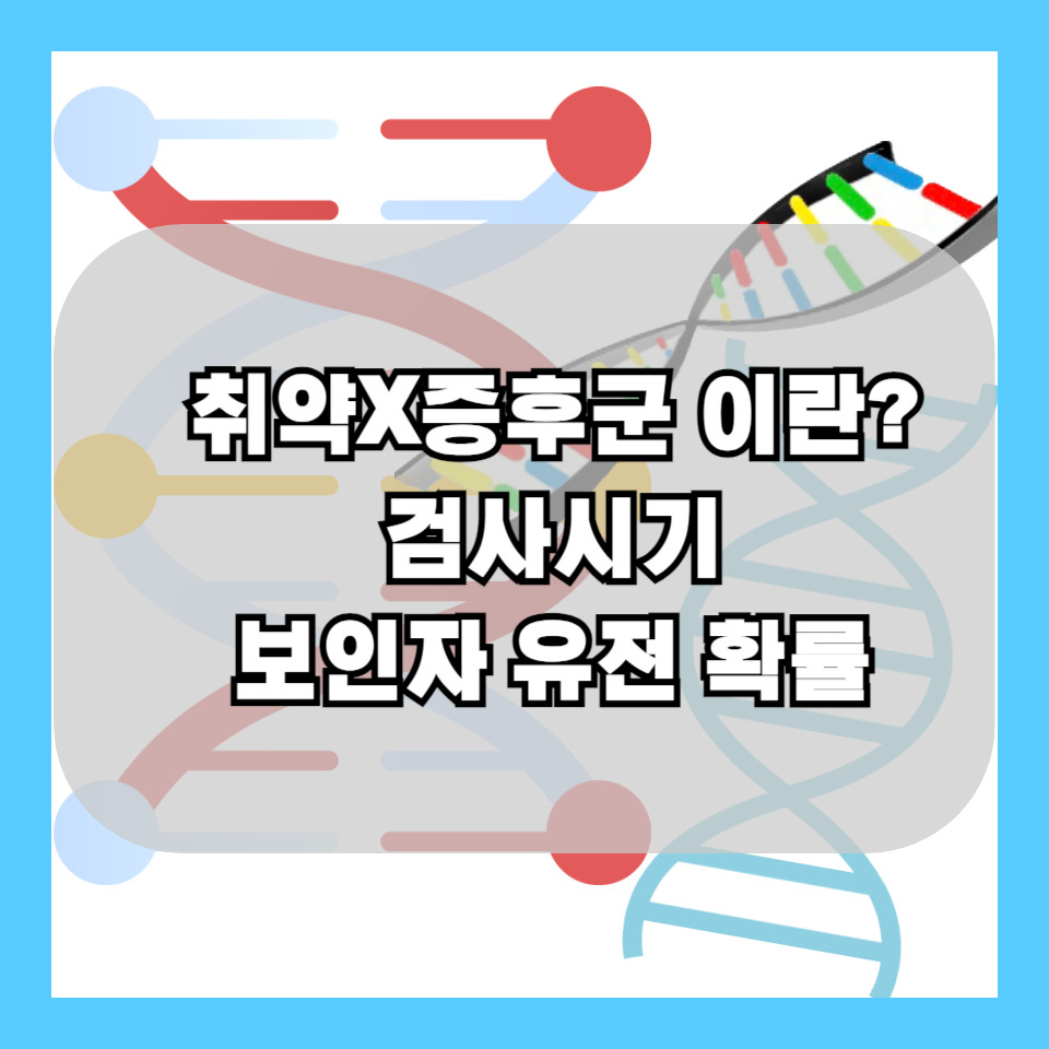 취약x증후군 검사 시기 원인 보인자 유전