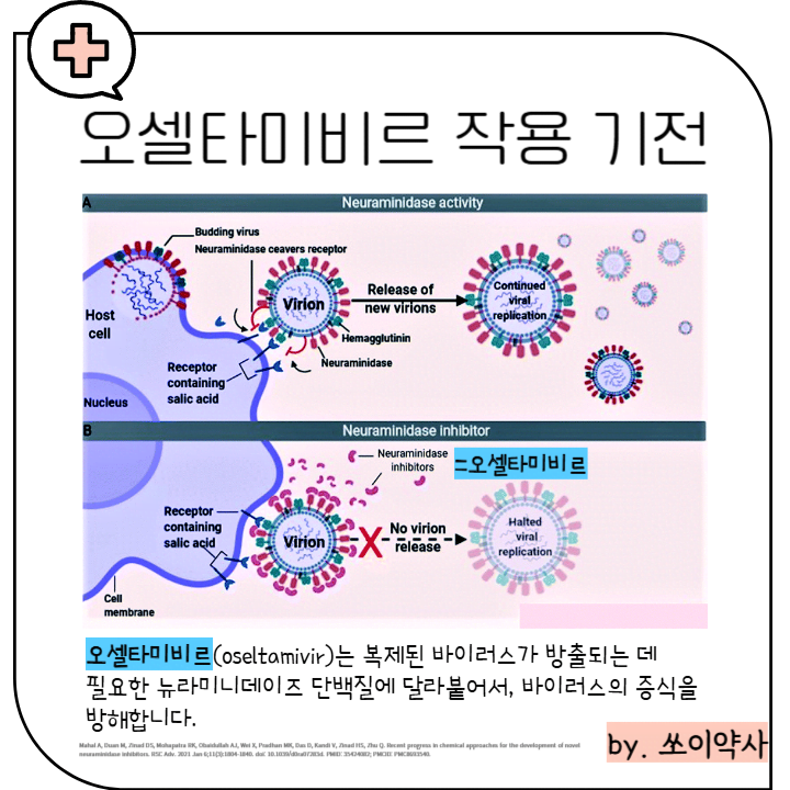 타미플루 캡슐 75mg 현탁용분말 꼭 알고 먹자 복용법 부작용 Vs 페라미플루 수액 가격 실비 약사가 알려주는 독감치료제