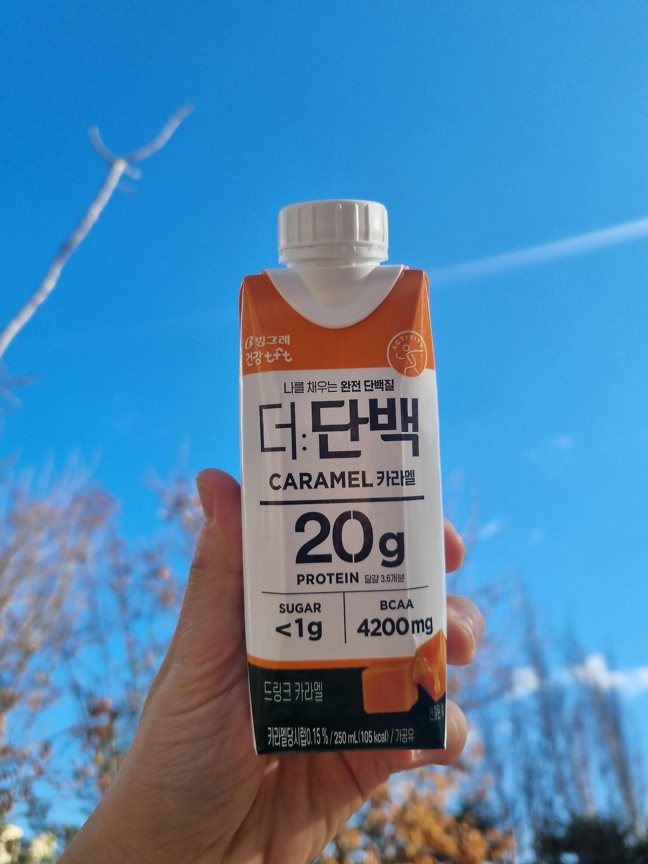 편의점 맛있는 단백질 음료 빙그레 더단백 후기 커피맛 초코맛 카라멜맛