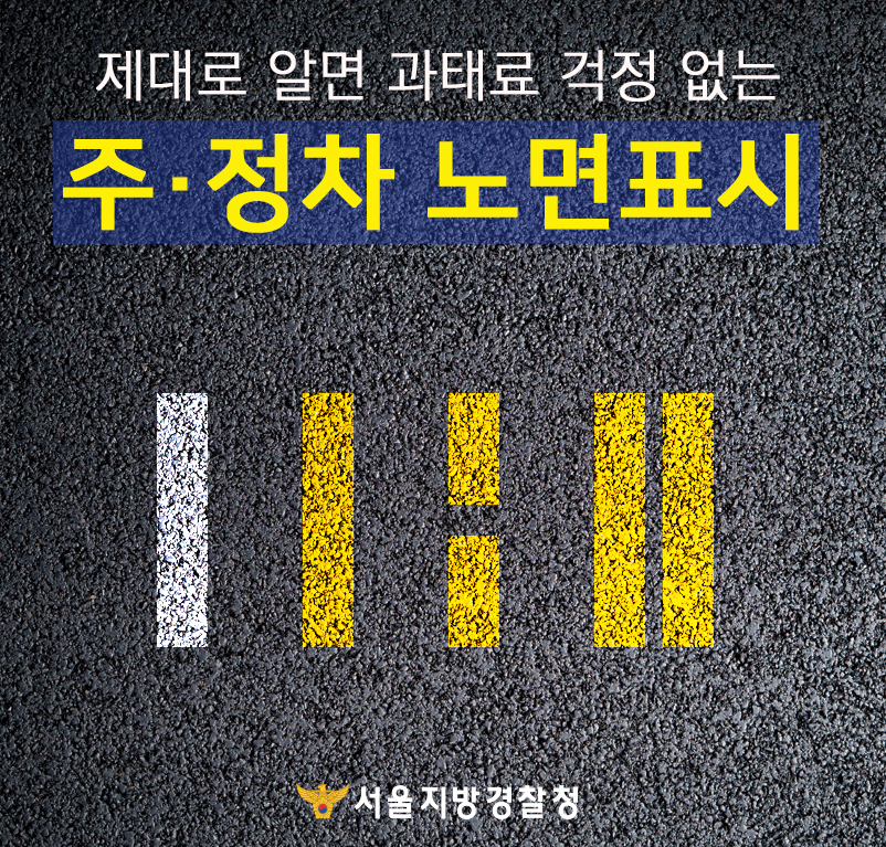 주정차 위반 기준 주정차 과태료 및 벌점 안내흰색 실선 주차도 위반일 수 있다