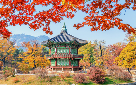 대한민국 희귀성씨 총정리