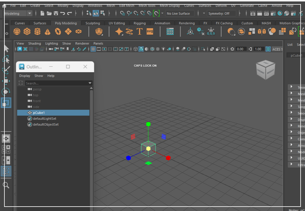 또는 상단 메뉴에서 Create → Polygon Primitives → 원하는 도형 선택