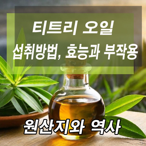 티트리 오일 원산지와 역사 섭취방법 및 효능과 부작용