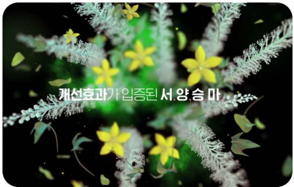 훼라민큐 효과 부작용 성분 가격 갱년기 여성 영양제