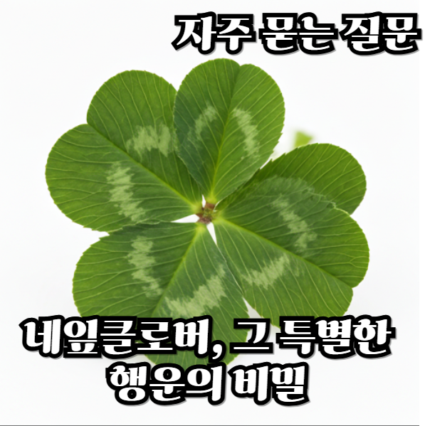 네잎클로버 그 특별한 행운의 비밀 자주 묻는 질문과 함께 알아보는 이야기🍀