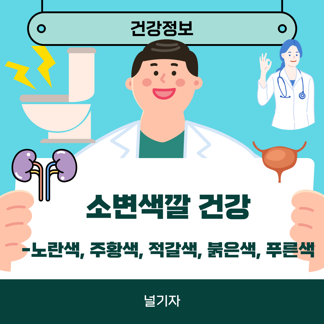 소변 색깔이 노란색 주황색 적갈색 콜라색 붉은색 푸른색 소변 색깔로 보는 건강