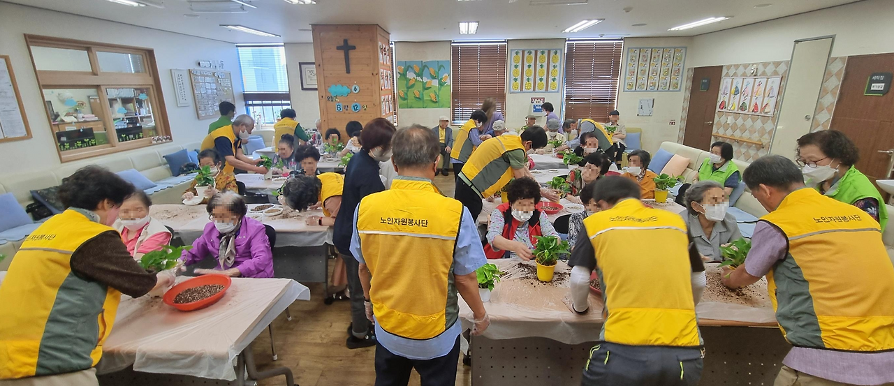 대한노인회 대구연합회 원예치료봉사단 반려화분도 만들고 율동도 하고 대한노인회 노인자원봉사