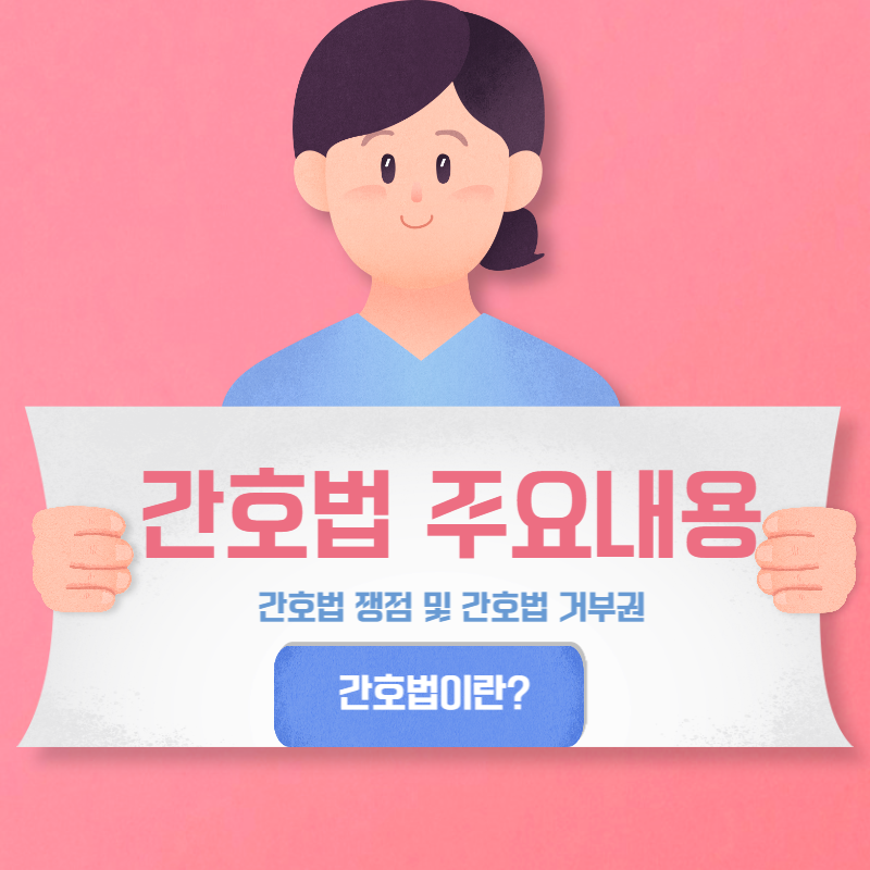 간호법 내용 및 간호법 쟁점 간호법 거부권