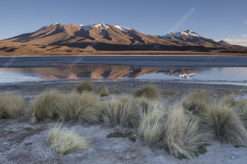 Laguna Hedionda: Bolivia's "Stinking Lake"
