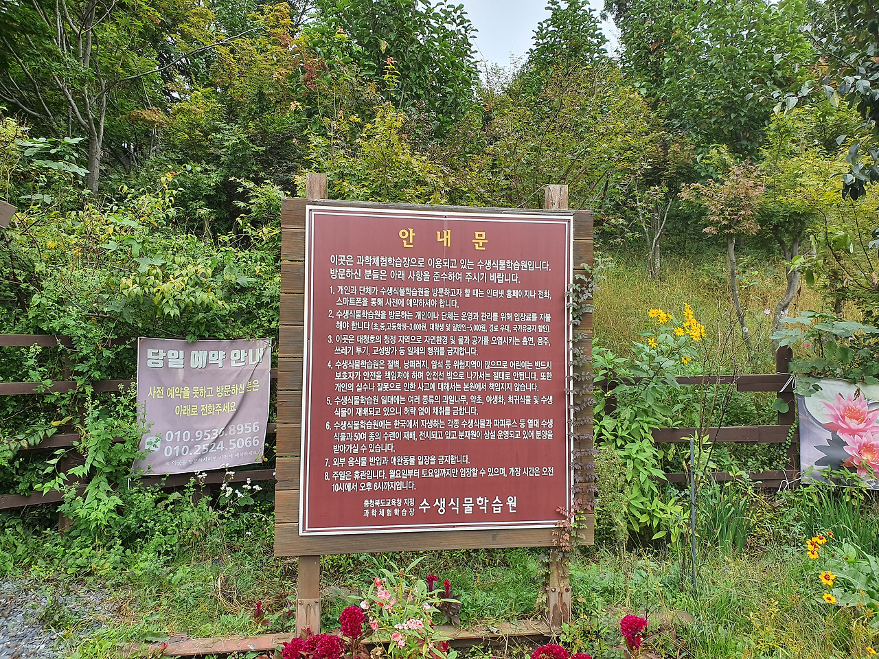 대전근교 옥천가볼만한곳옥천 군북 돌팡깨 방아실 옥천수생식물학습원