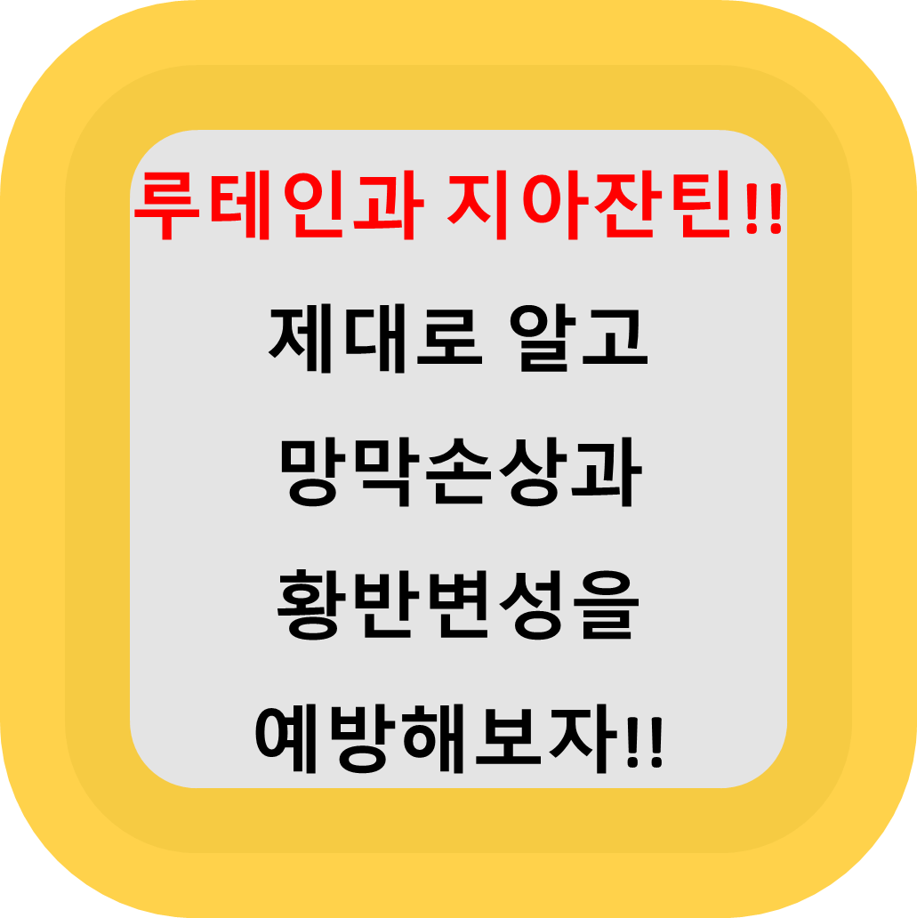 망막손상과 황반변성 예방을 위한 눈에좋은영양제 루테인지아잔틴의 효과 알아보기