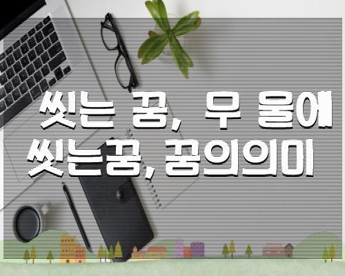 씻는 꿈 무 물에 씻는꿈꿈의의미