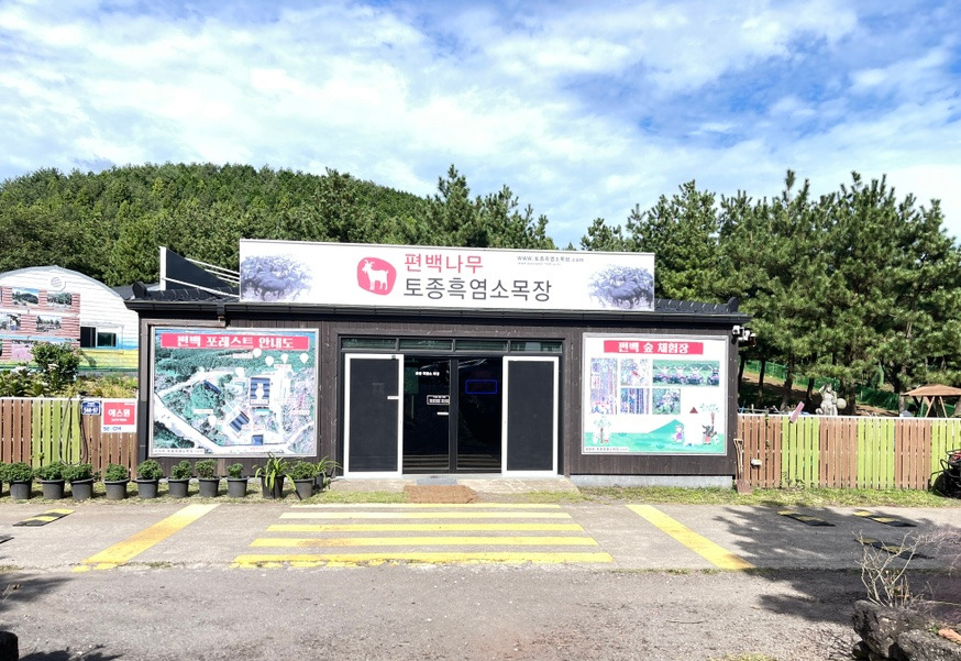 아이랑 제주도 가볼만한 곳 편백포레스트 숲속놀이터