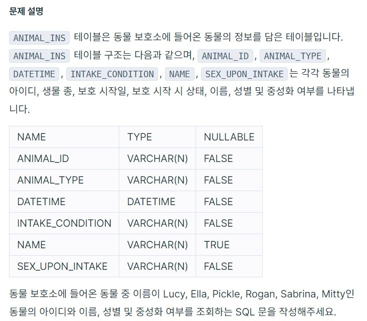 프로그래머스 Mysql 루시와 엘라 찾기 