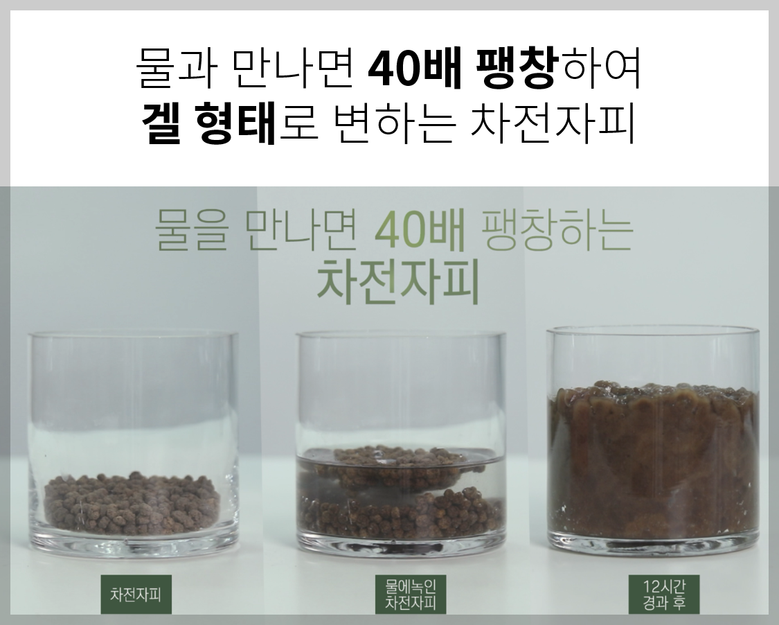 차전자피 효능 및 부작용 먹는 방법 먹으면 안되는 사람