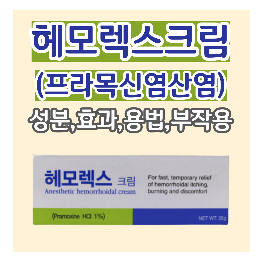 치질 마취 연고 헤모렉스크림프라목신의 가격 성분 효과 사용법 부작용 주의사항