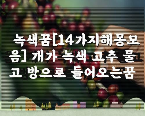 녹색꿈 14가지해몽모음 개가 녹색 고추 물고 방으로 들어오는꿈
