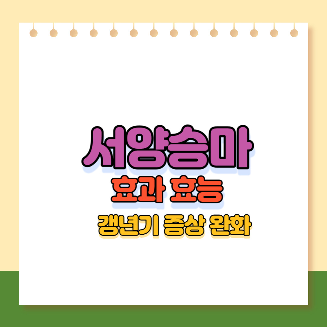 서양승마의 효과 효능 부작용 갱년기 때 좋은 음식3가지