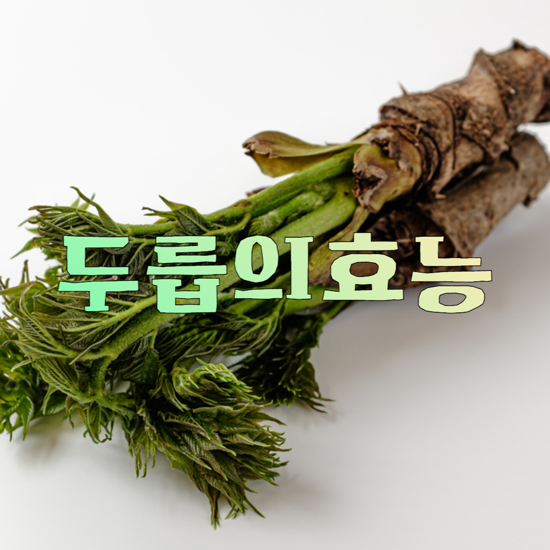 두릅 효능 영양성분 고르는법 부작용