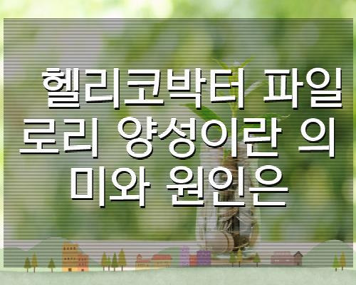 헬리코박터 파일로리 양성이란 의미와 원인은