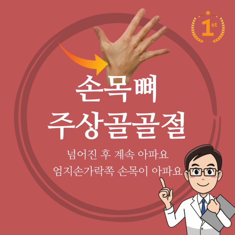질병 손목뼈 주상골 골절scaphoid Fracture