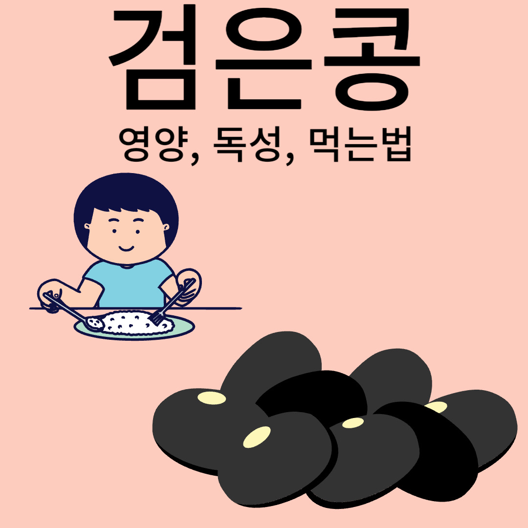 검은콩 먹는법 영양성분 좋지만 독성 있는 음식이니 주의하자