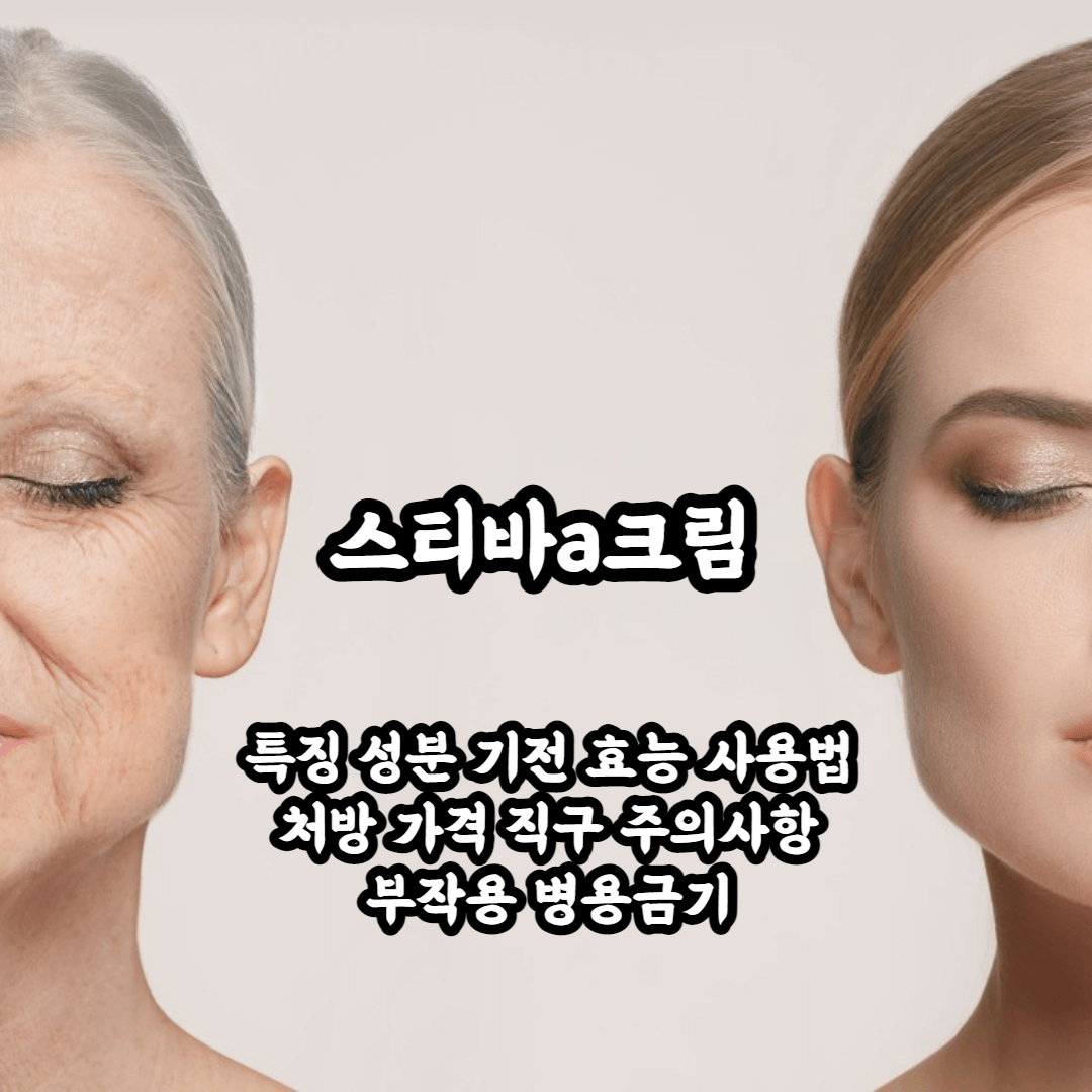 스티바a크림 특징 성분 기전 효능 사용법처방 가격 직구 주의사항부작용 병용금기 총정리