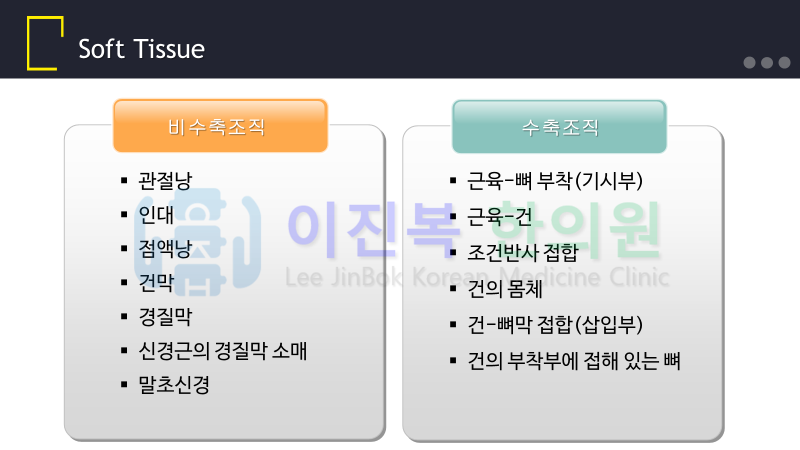 전주 이진복한의원 무릎 관절의 해부학적 구조