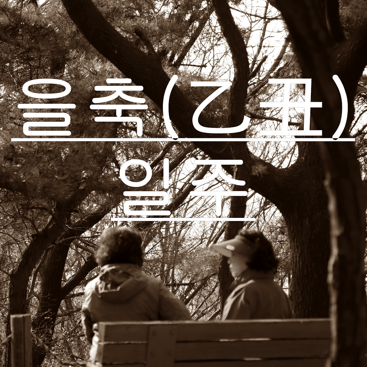 을축乙丑 일주 남자 여자 연예인 직업 사주명리 일주론