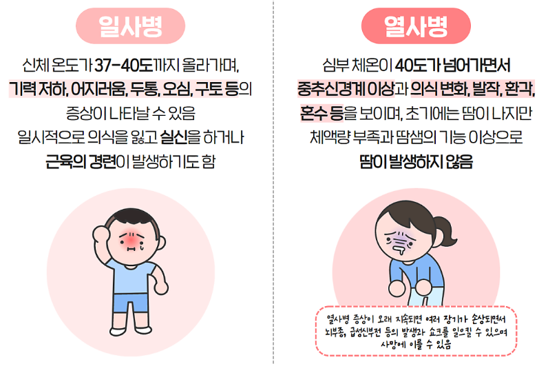 열사병 일사병 온열질환 40도 몸 단백질 변성 땀이 나지 않는 무발한 상태 열사병 Heat Stroke 일사병