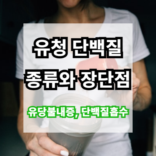 유청 단백질 종류와 장단점 Wpc Wpi Wph