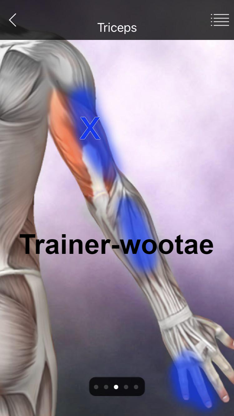 23 상완삼두근 And 주근triceps Brachii And Anconeus