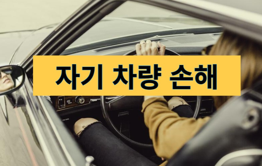 자기차량손해 빠르게 알아보기